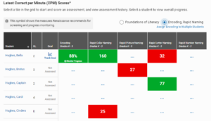 Star CBM Reading: Sight/High-Frequency Words and Encoding with benchmarks in K–3 | Renaissance
